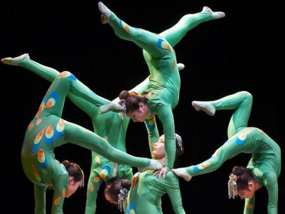 Cirque Diabolo will bring acrobats, contortionists and aerial artists ...