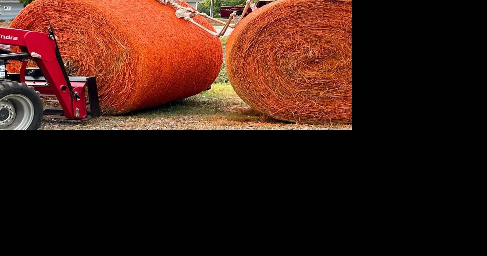 Hayodan celebrates 10th year with street party that defies rain ...