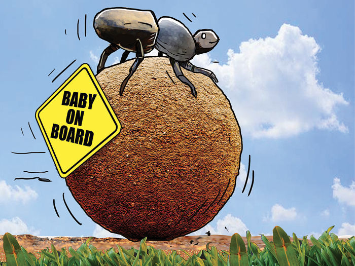 Rolling feces: Tourists in Smokies warned they may want to avoid ...