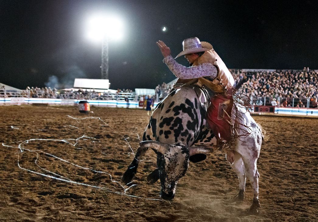 Pro Rodeo Bull Riding | Gallery | greensboro.com