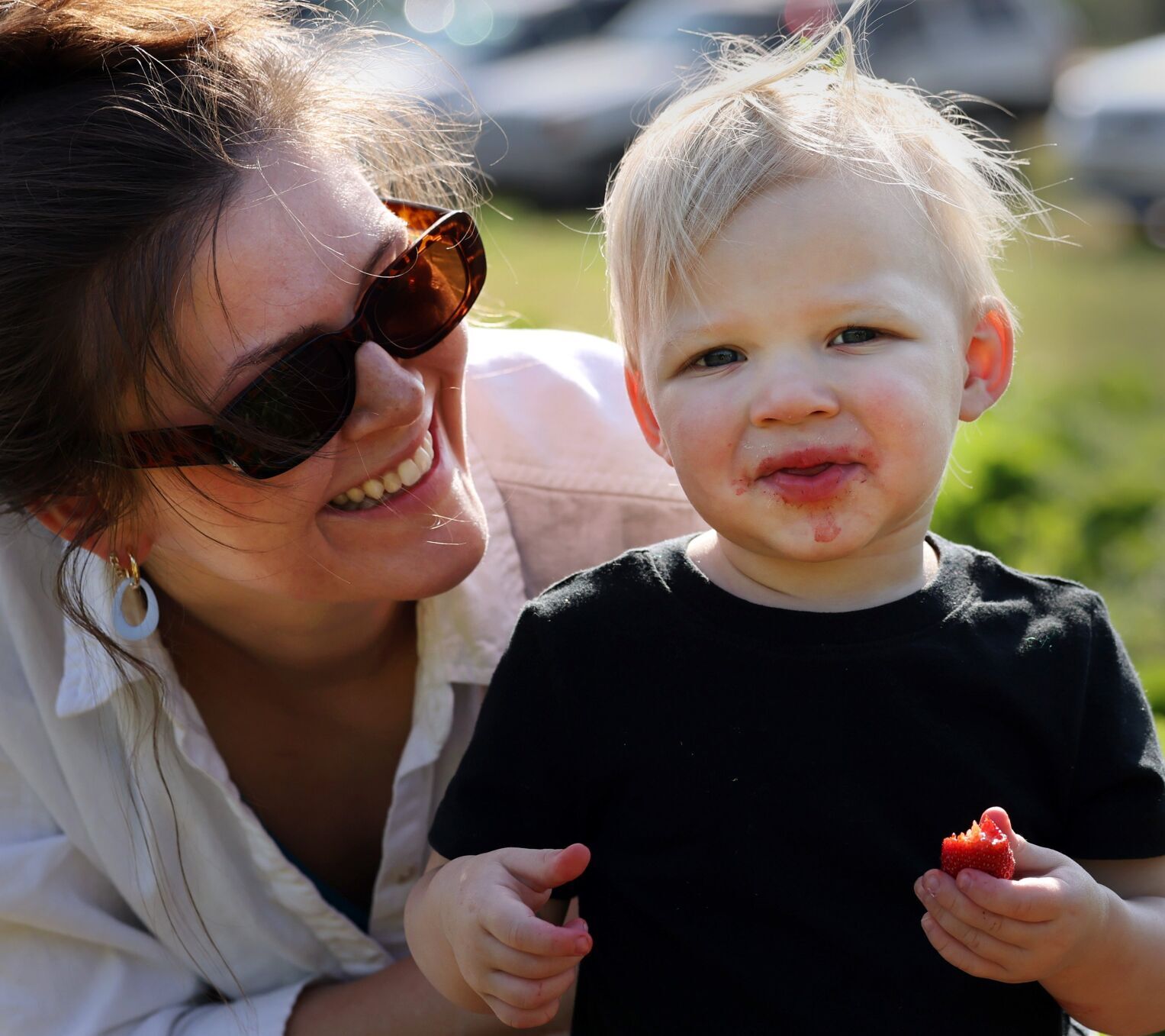 It's strawberry season at Jones Strawberry Farm in Pfafftown, see the ...