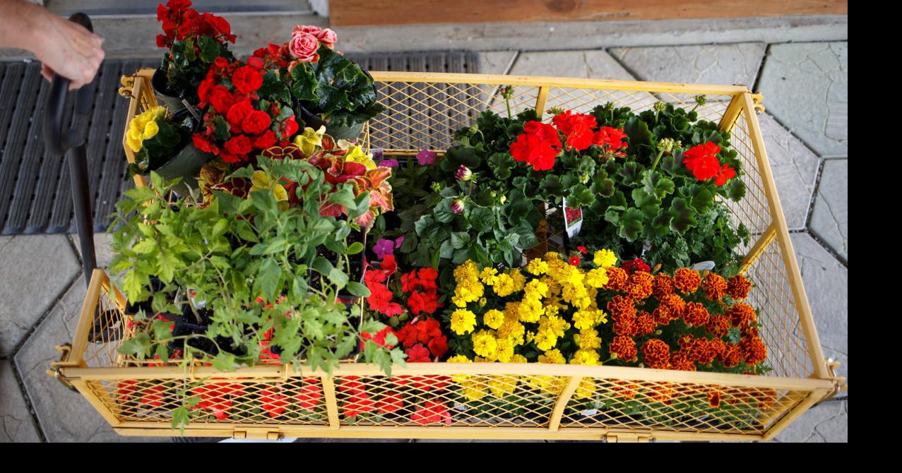 Prison Farm greenhouse still has lots of plants for sale