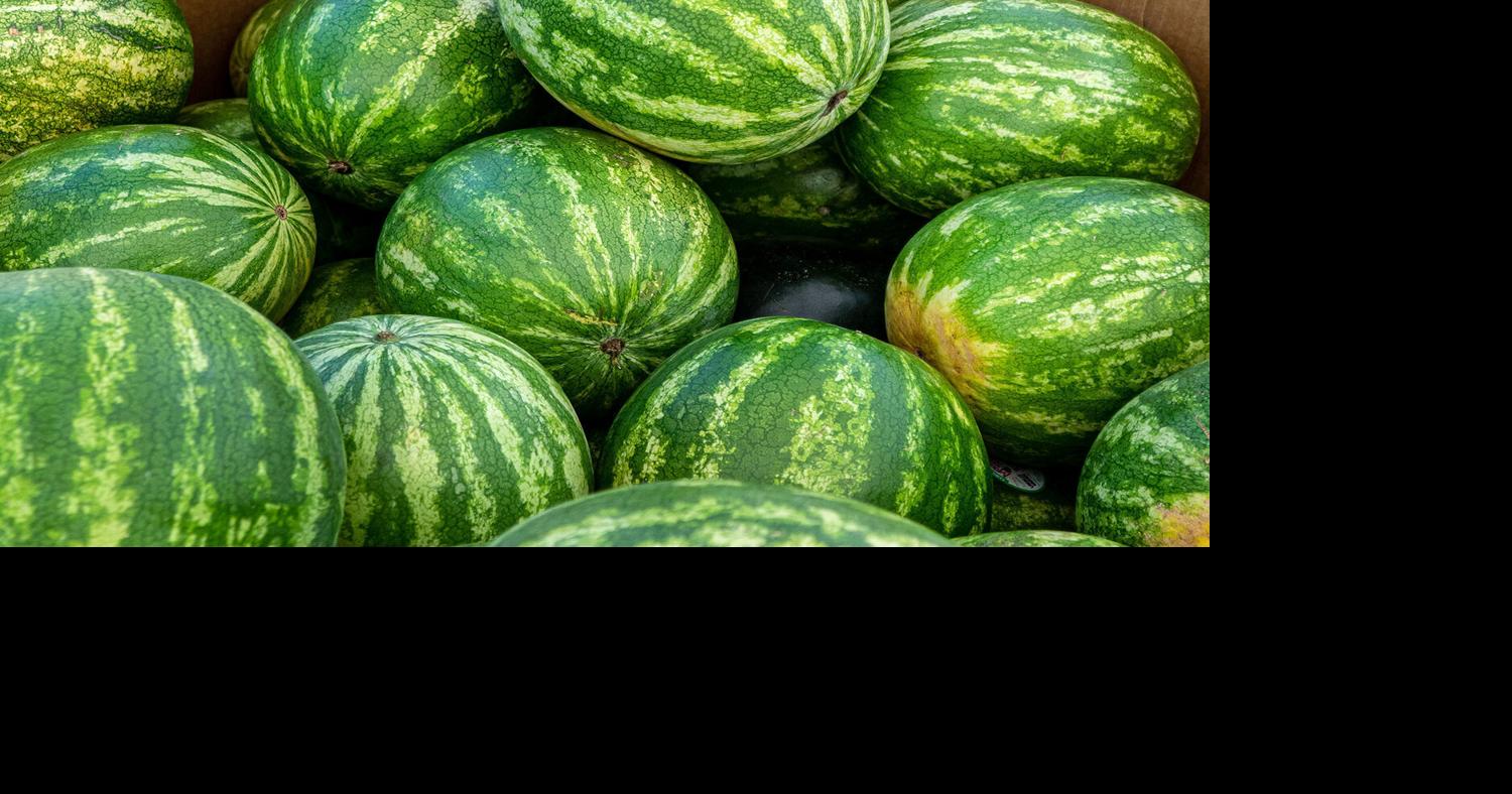 senior fitness center hosts free watermelon social on monday