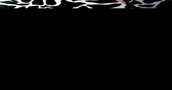 Lawson, Thelma Elizabeth Amos