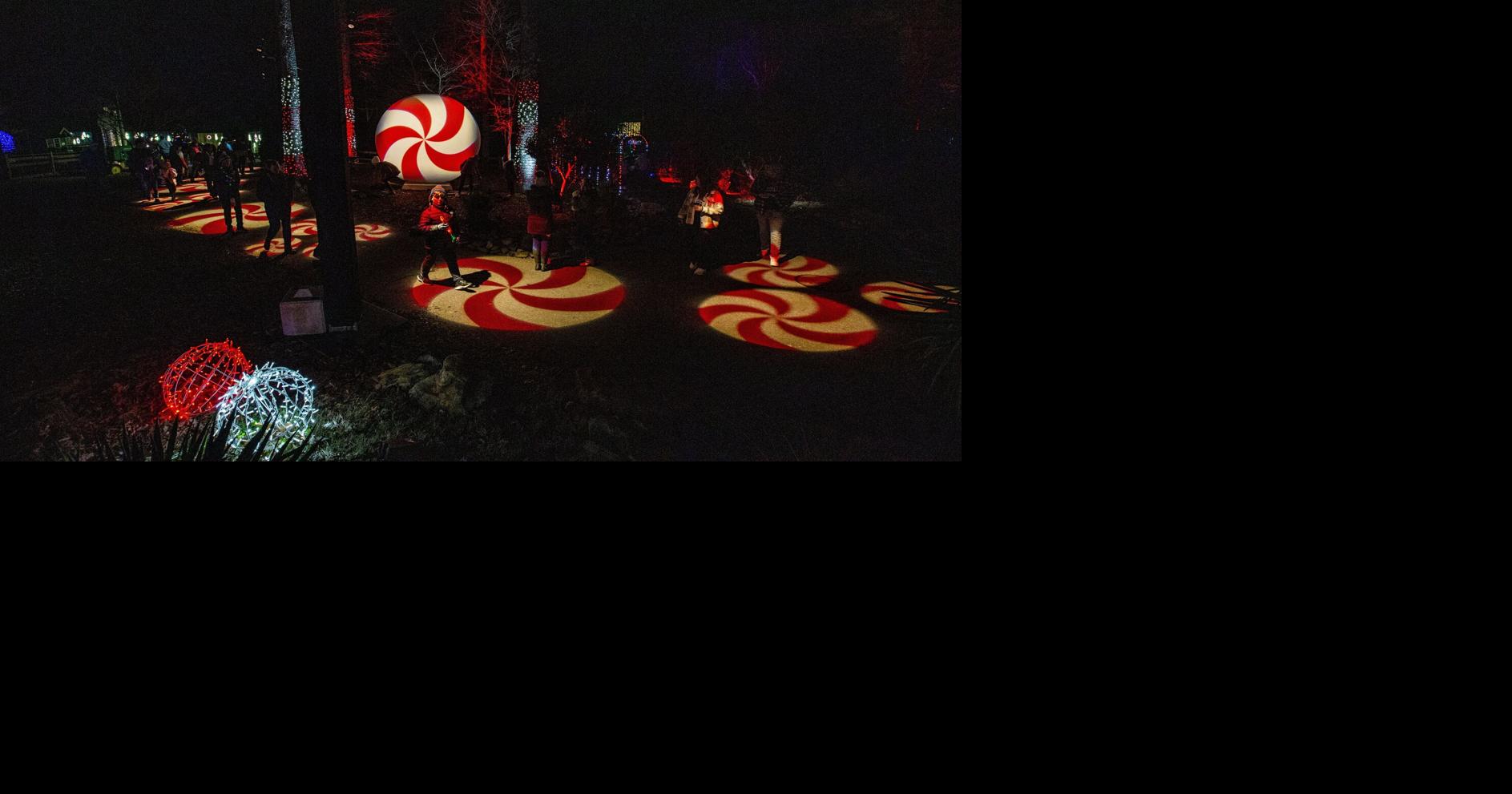 PHOTOS: Winter Wonderlights