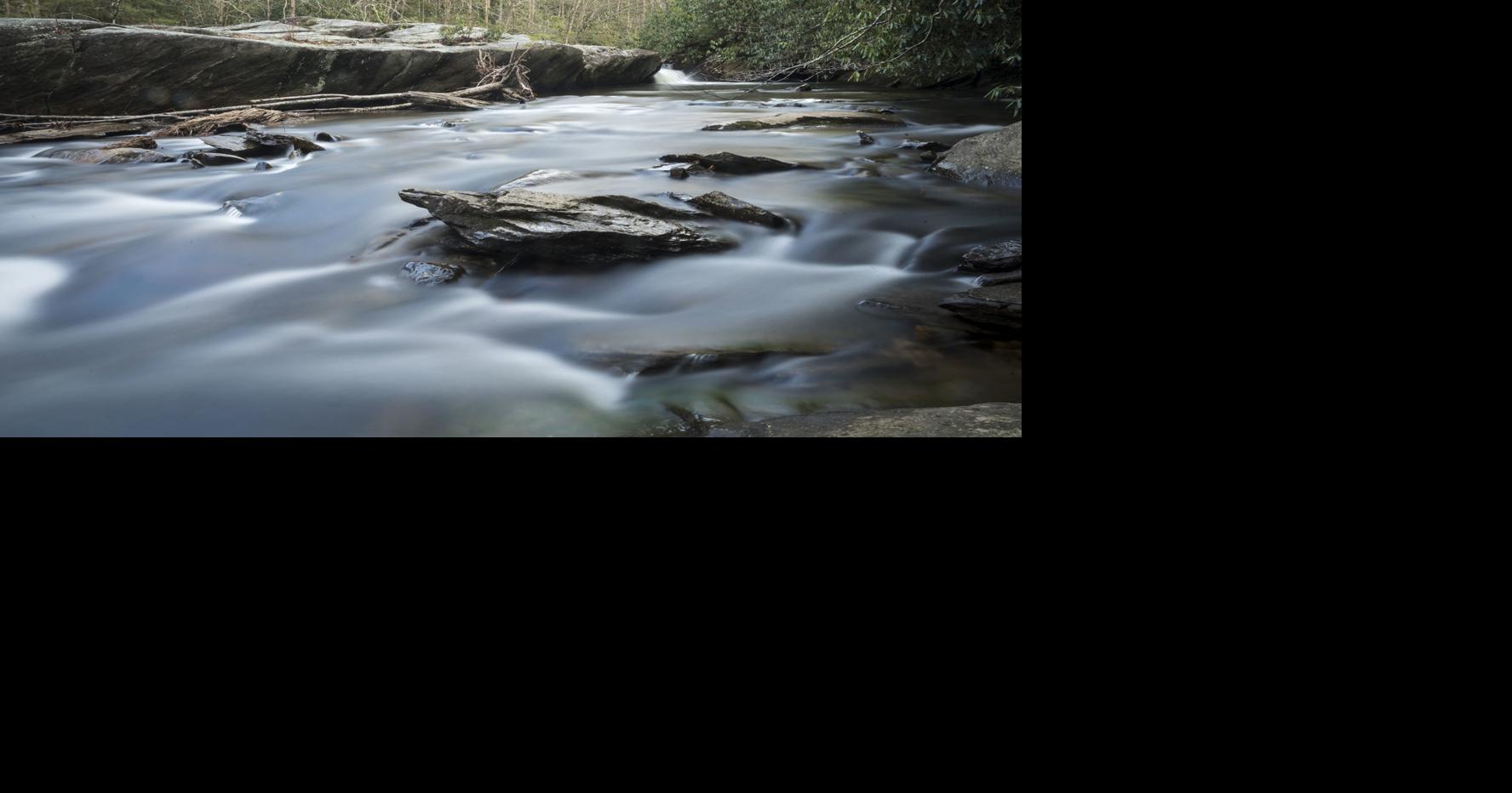 Ron Rubenzer: Thomas Jefferson’s 'desk-stress' and eco-therapy