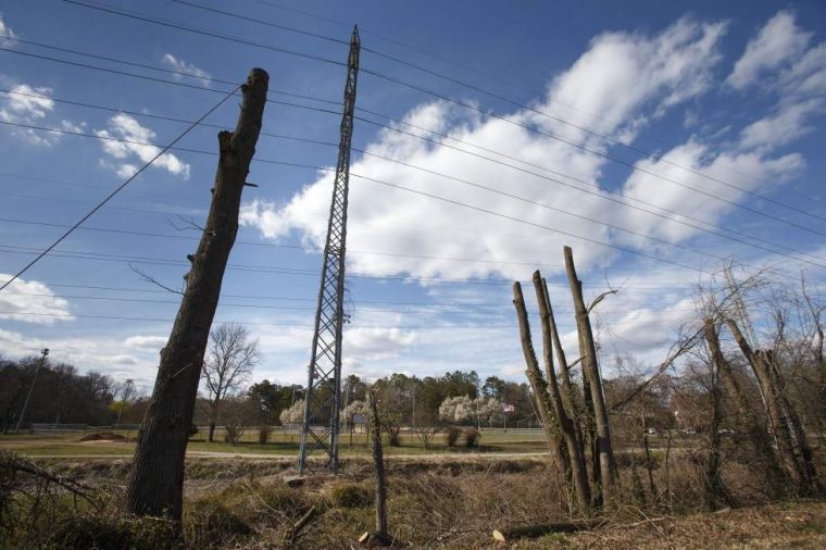 Greensboro passes tree ordinance