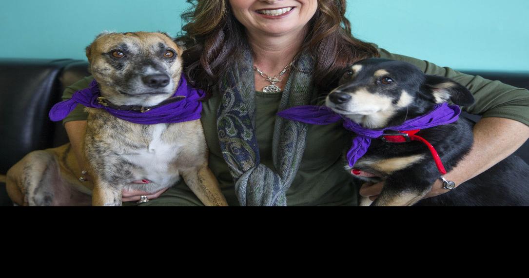 Burned dog Susie, her owner still fighting abuse