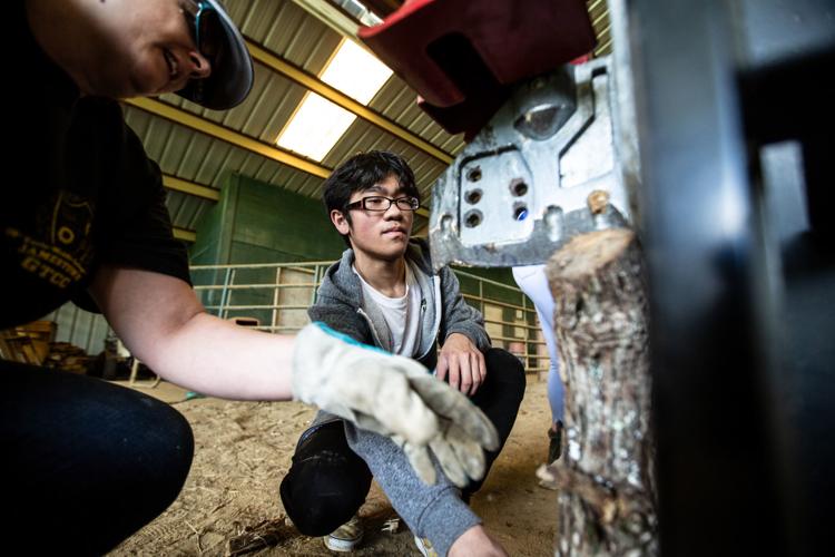 Day of Service at YMCA Camp Weaver