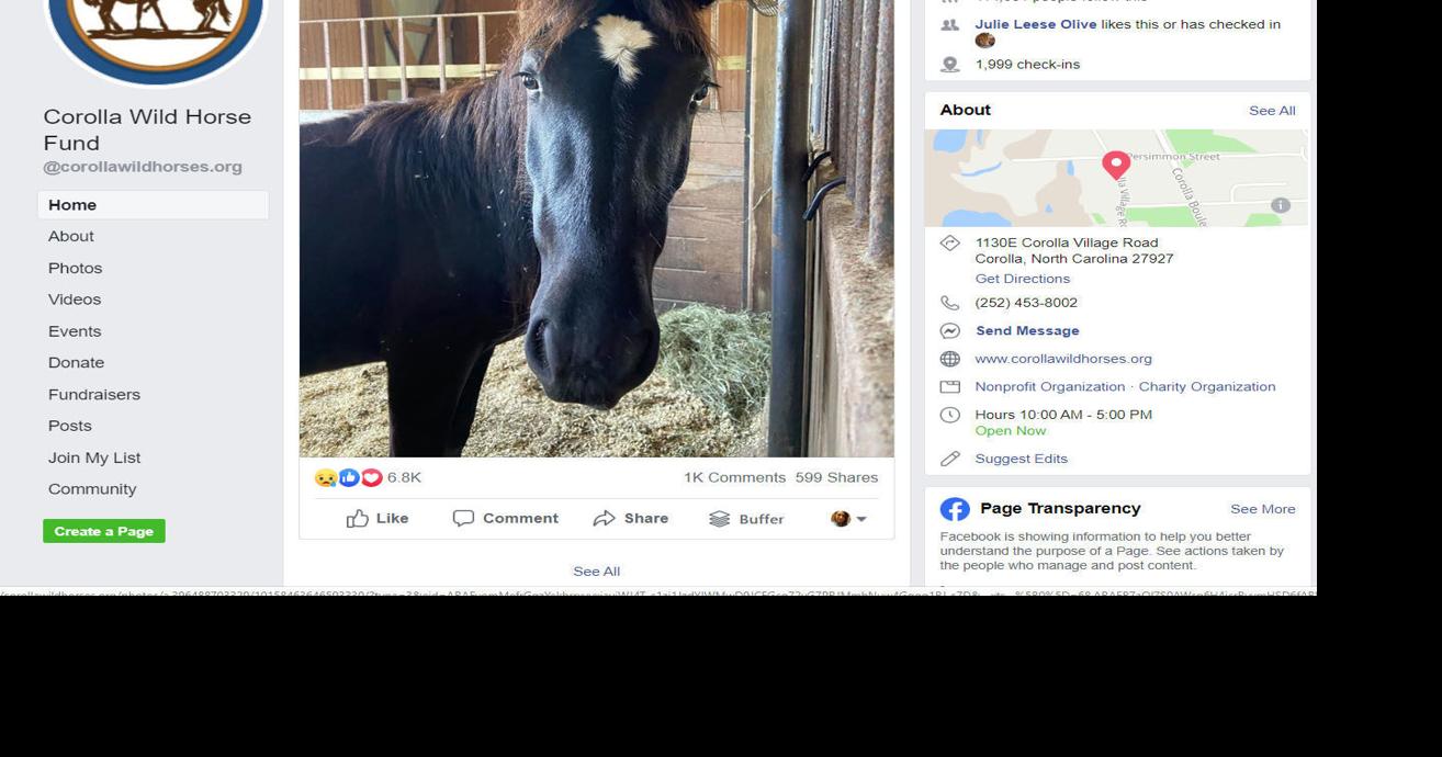 North Carolina wild horse euthanized after snake bite