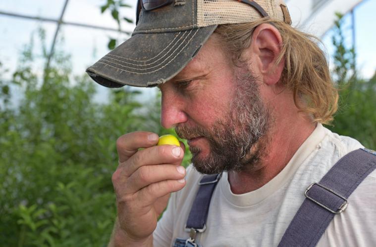 Amy Dixon: Growing citrus in the Piedmont? This farmer has had plenty ...