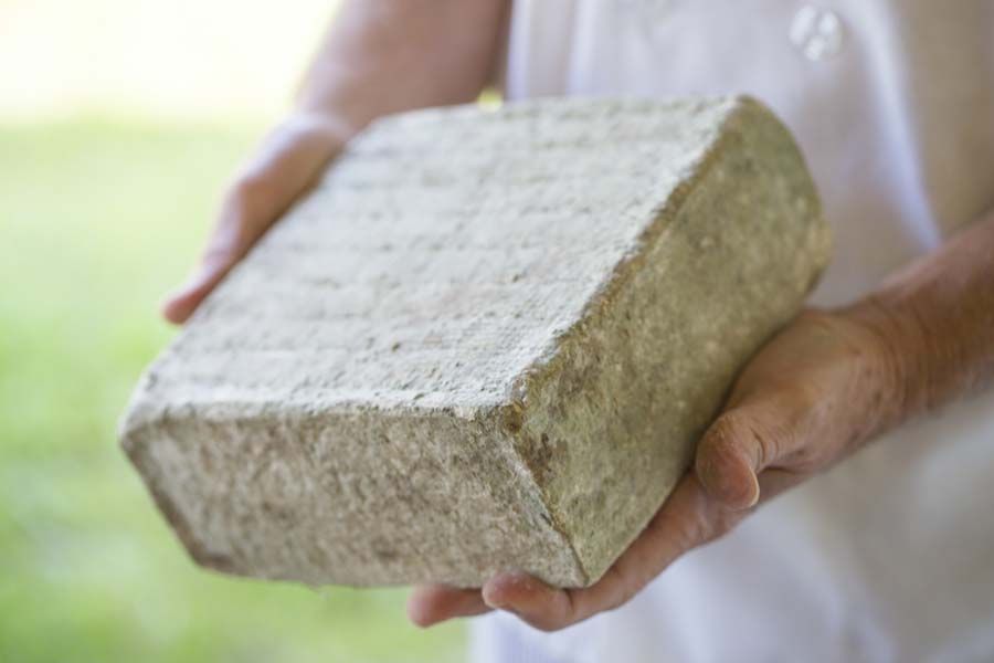 Goat Lady Dairy wins two awards
