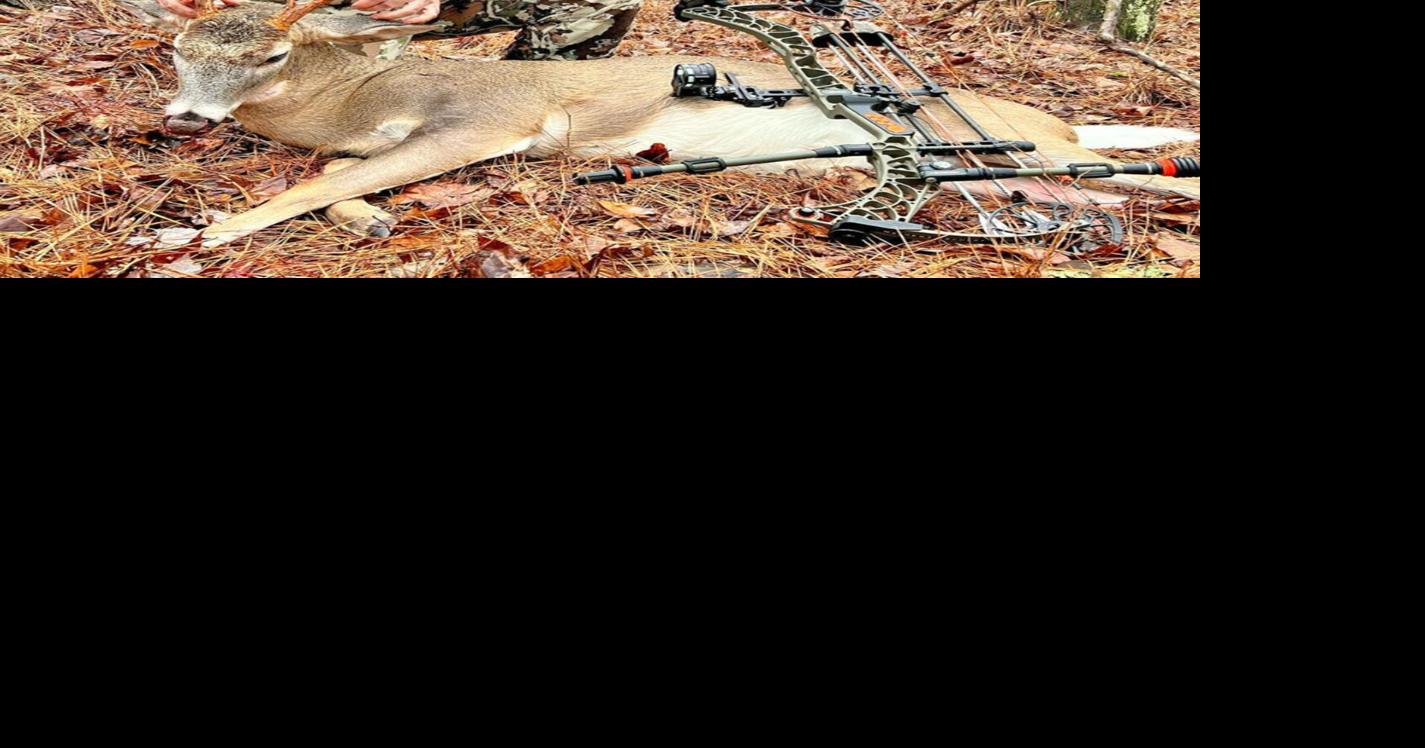 Are you bow ready? Georgia's archery deer season opens Sept. 9 | Sports ...