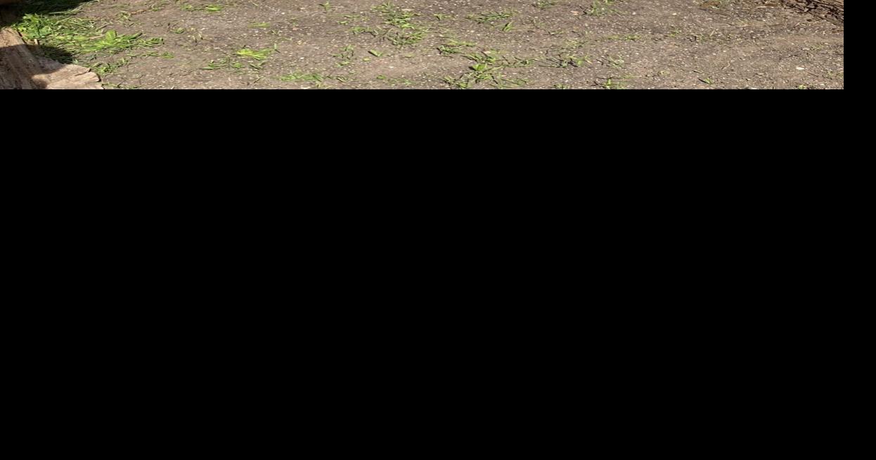 Futral Road students learn lessons of the land | News ...