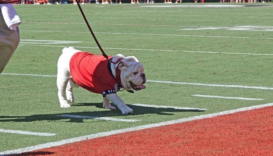 UGA and GT square off in classic rivalry game | Sports ...