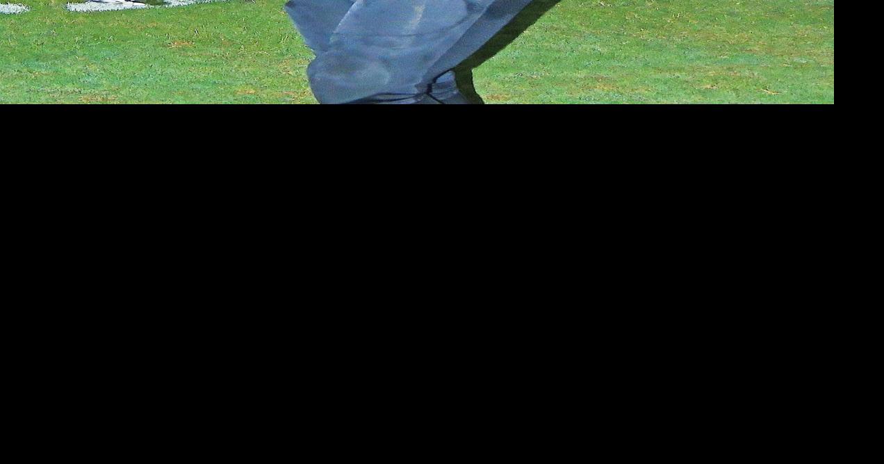 SKIPSTONE FOOTBALL: Champs ready to hit field | Sports ...