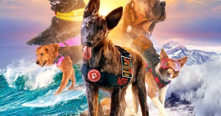 ‘Superpower Dogs’ returns to Fernbank’s giant screen theater | News ...