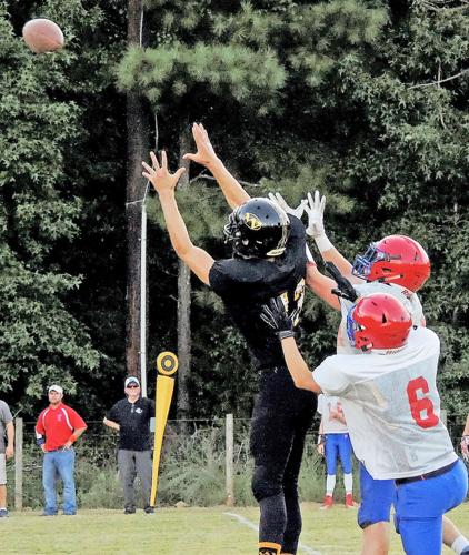 SKIPSTONE FOOTBALL: Warriors assess comeback | Sports ...