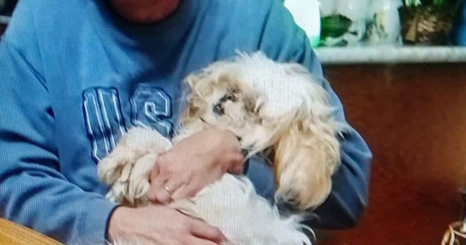 Derrick Maxwell Waggoner, 57 | Obituaries | grundycountyherald.com