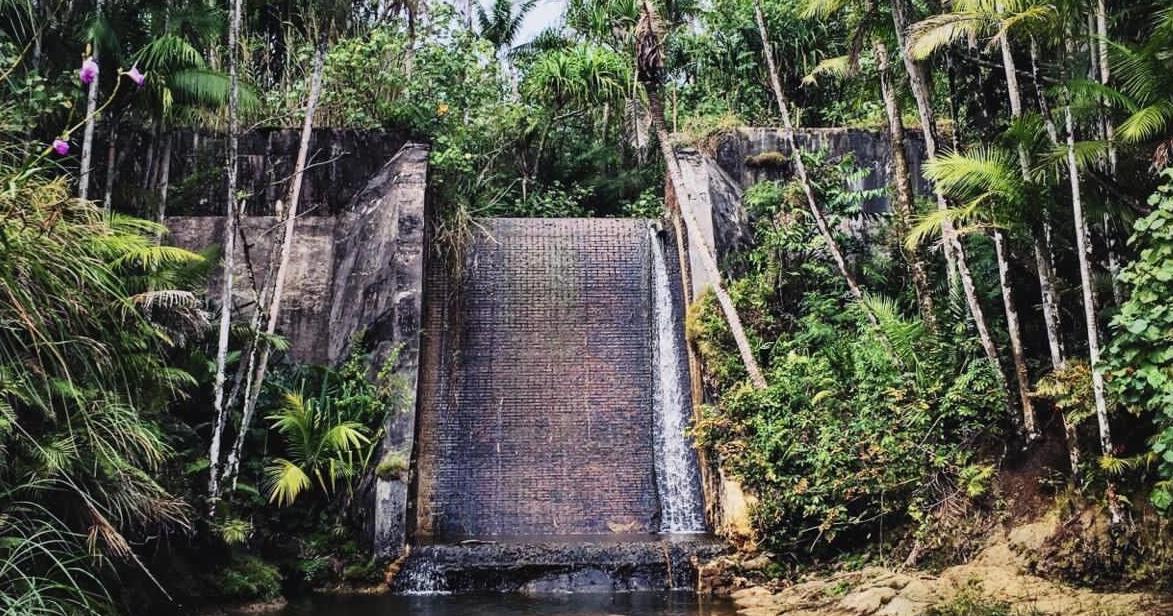Boonie Stompers take it easy on a hike to Fonte Dam | Lifestyle ...
