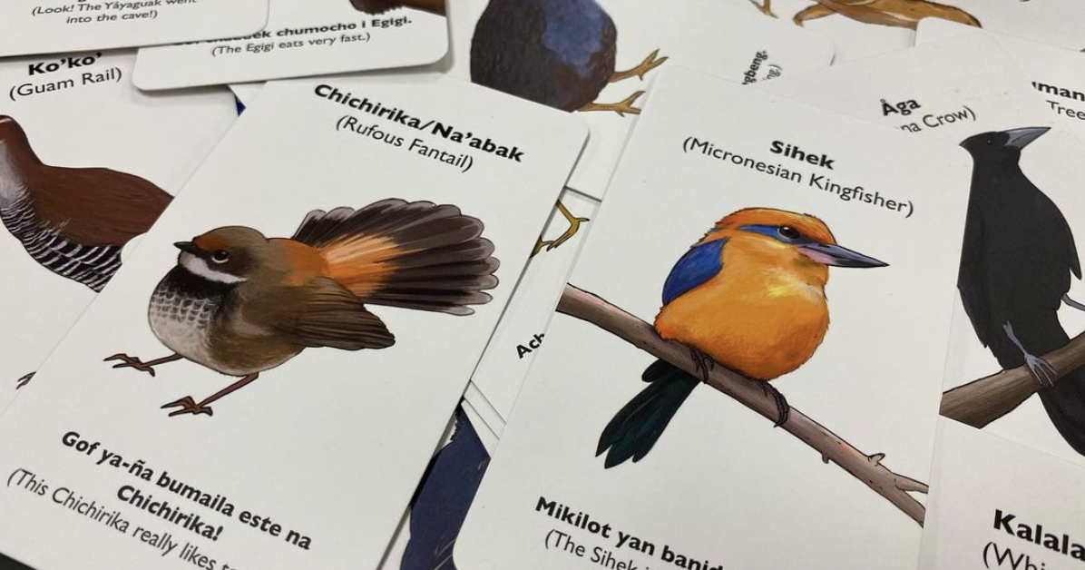 The Guam Bus releases newest flashcard set: ‘Paluman Marianas Siha ...