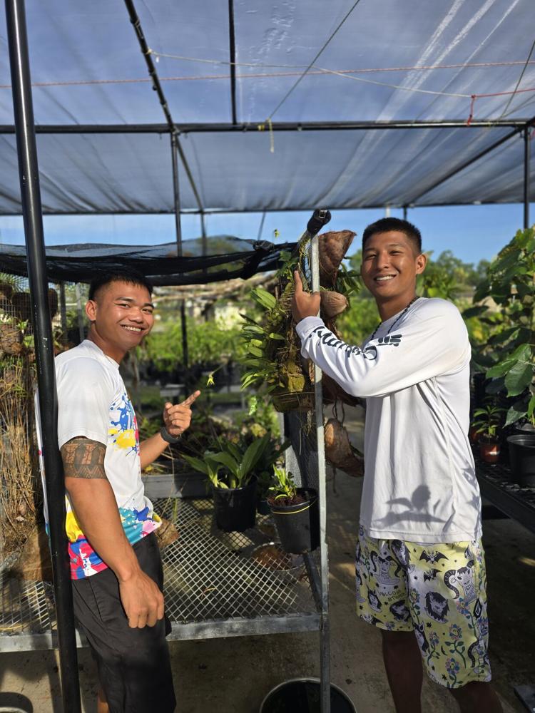 Page A13 | e-Edition | guampdn.com