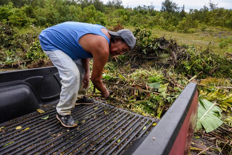 Disposing of typhoon green waste | Local News | guampdn.com