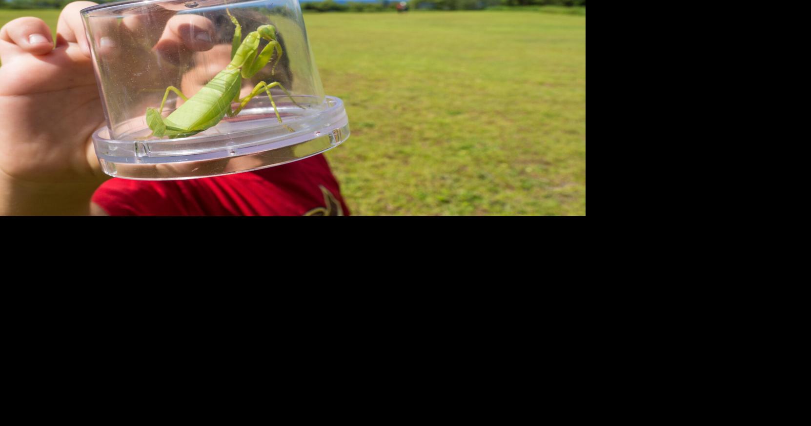 From 'bugs are us' to 'crime scene investigation': Kids 7 to 14 get to ...