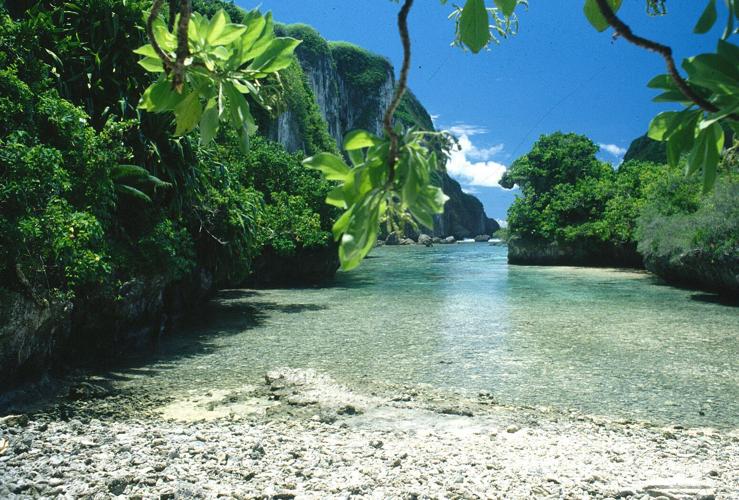 OPINION Lotz: A look back at military developments | Opinion | guampdn.com