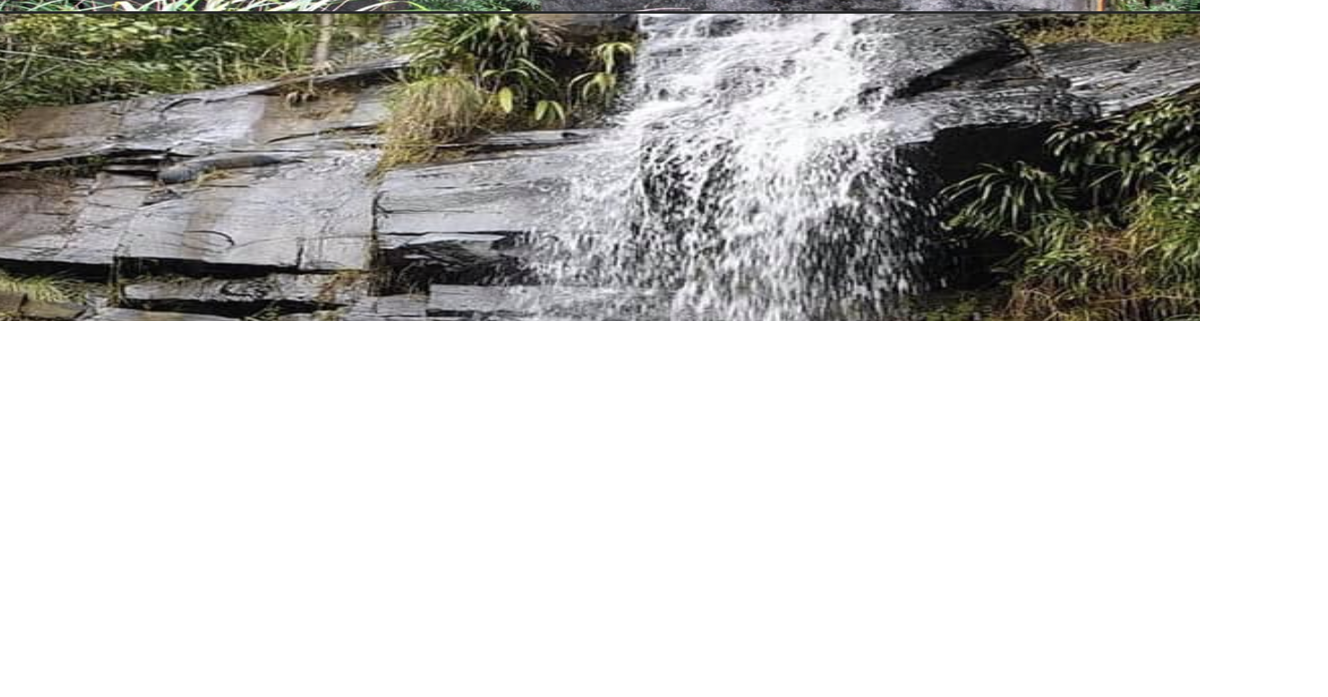 Boonie Stompers hikes to Mount Tenjo, Tarzan Falls | Lifestyle ...