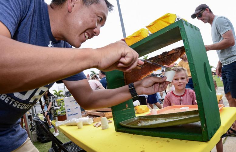 Celebrating World Bee Day 2024 | Multimedia | guampdn.com