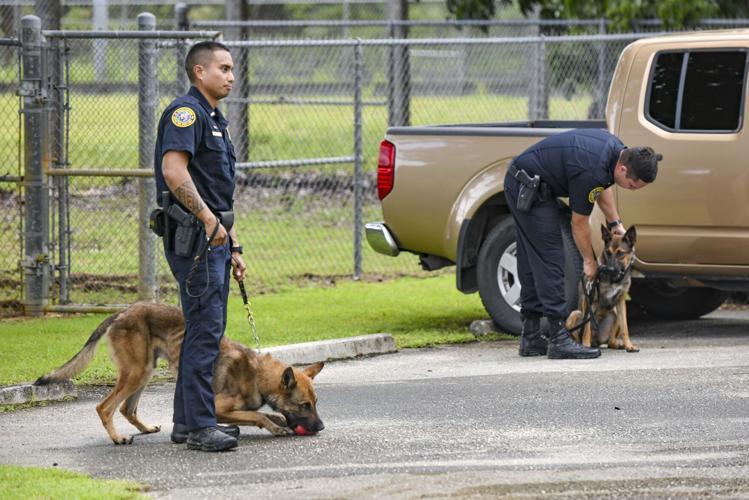Four drug detection dogs added to Guam Customs K9 pack | News | guampdn.com