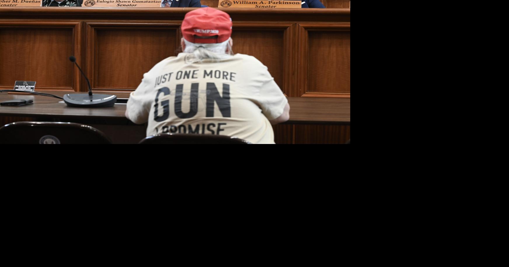 Bill legalizing gun 'silencers' draws mixed reactions during public ...