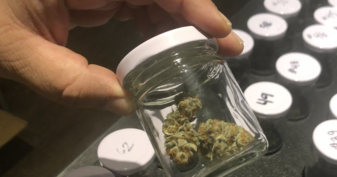 Guam cannabis advocates applaud 'monumental' federal move to reclassify ...