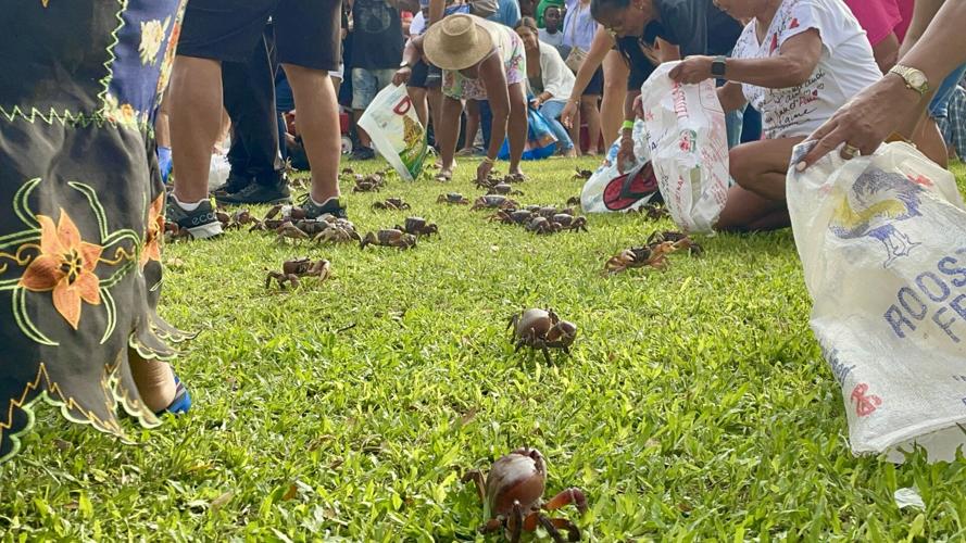 Malesso's 3-day festival: From celebrating traditions to catching ...