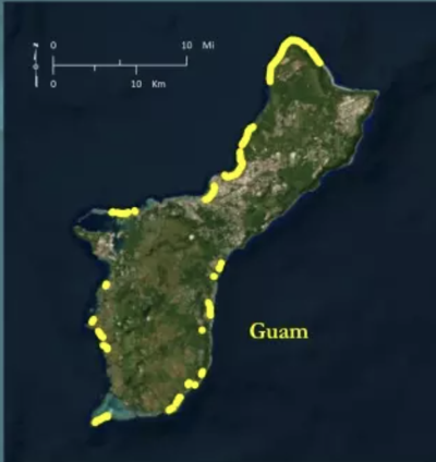 Federal government proposes 125 acres on Guam as green sea turtle ...