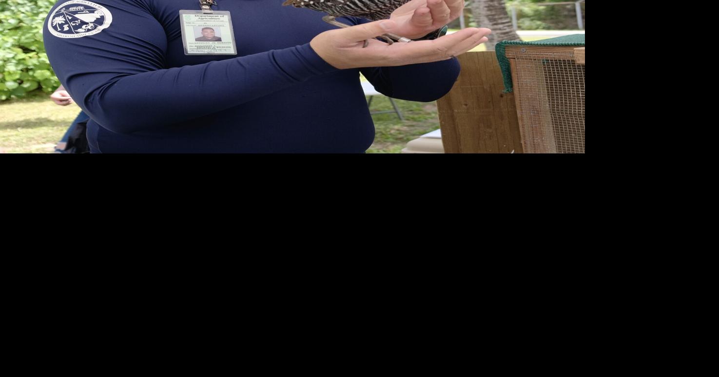 Ha'ånen Litekyan held at Guam National Wildlife Refuge | Multimedia ...