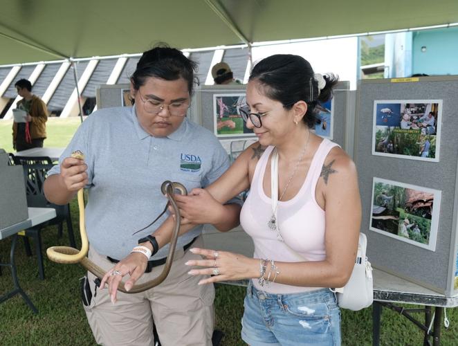 ArborFest highlights the importance of planting and conserving trees ...