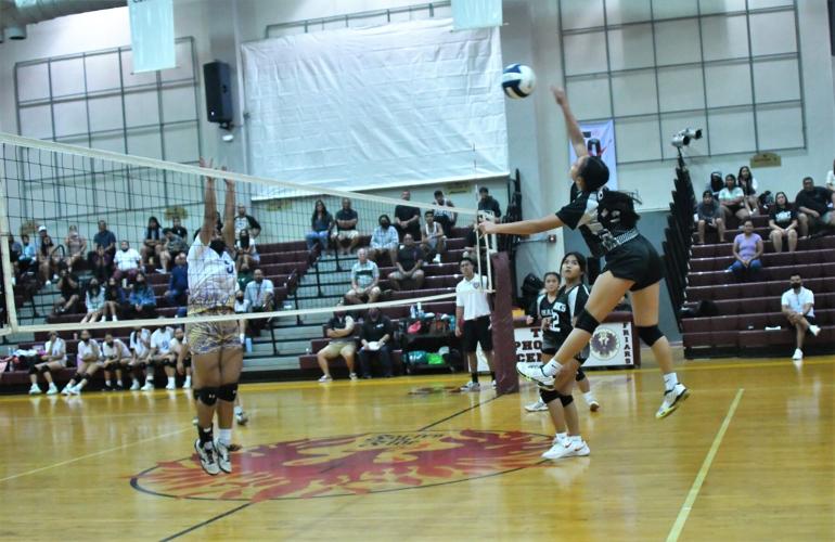 Geckos triumph over error-plagued Sharks in girls volleyball opener ...