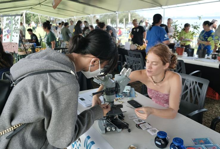 ArborFest highlights the importance of planting and conserving trees ...