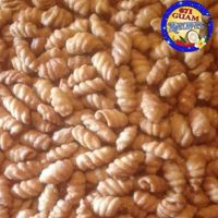 671 Guam Recipes: Guyuria | Lifestyle | guampdn.com