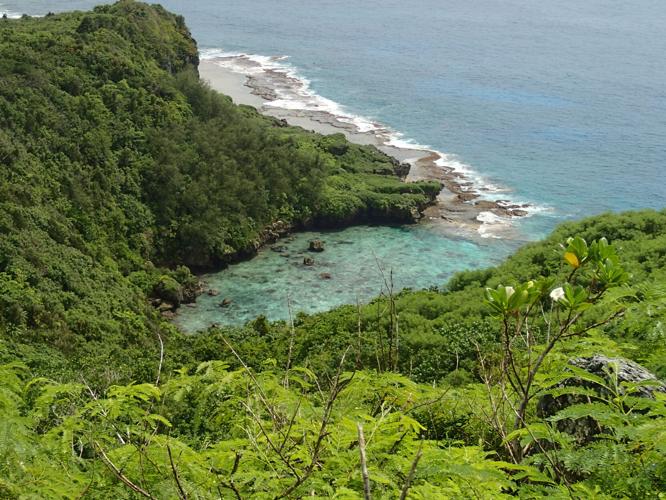 OPINION Lotz: Destruction of another Guam native limestone forest ...