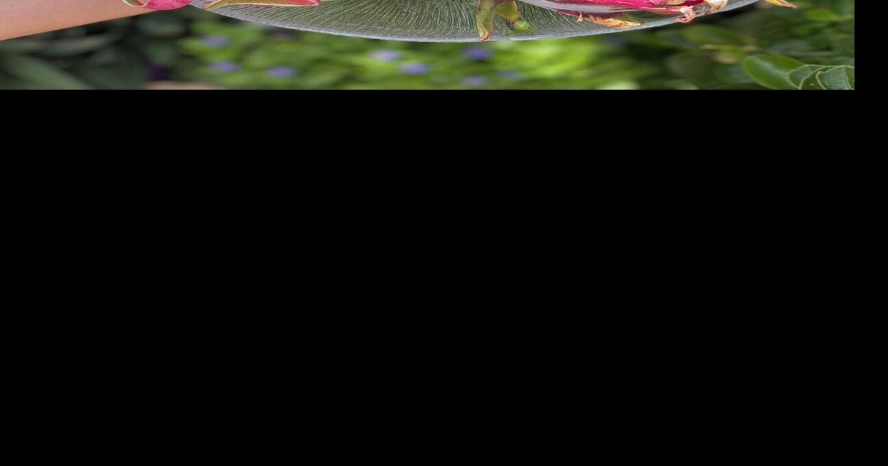 Dragon Fruit Ice Cream | Lifestyle | guampdn.com