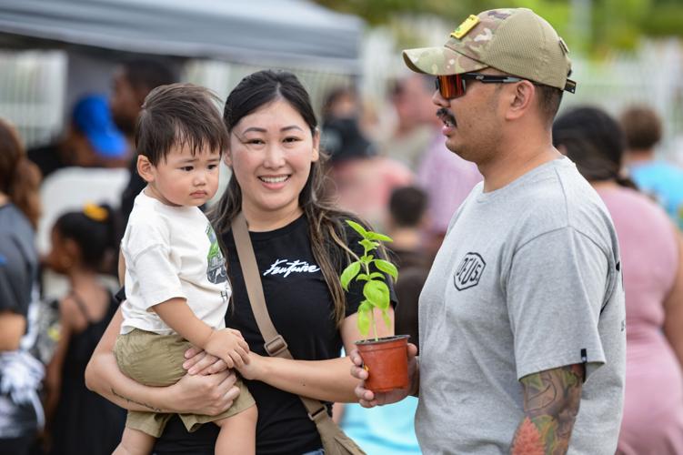 Celebrating World Bee Day 2024 | Multimedia | guampdn.com