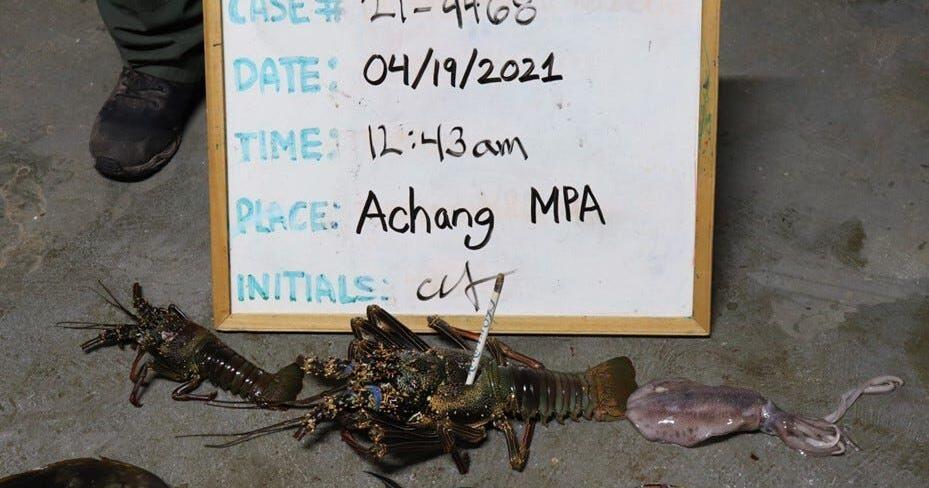 Five arrested in connection with illegal fishing at Achang Reef Flat ...