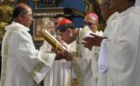 Cardinal Luis Tagle at crowded Mass: 'Family that prays together stays ...