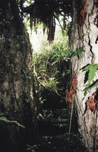 Lotz: Take a tour of the World War II heritage sites | Opinion ...