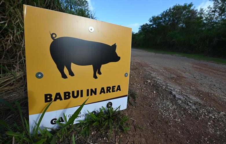Guam Adventures' off-roading reopens at LeoPalace Resort Guam ...