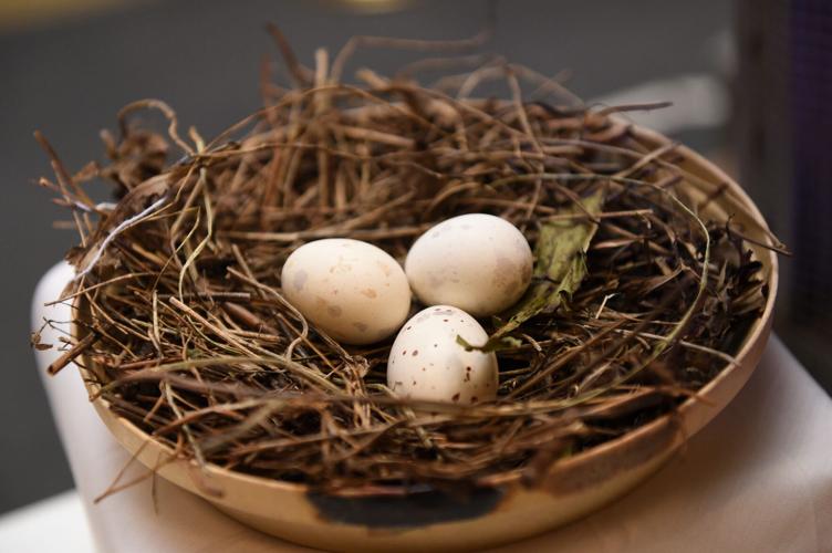 Agencies seek to create native bird sanctuary at Asan Beach Park, talks ...