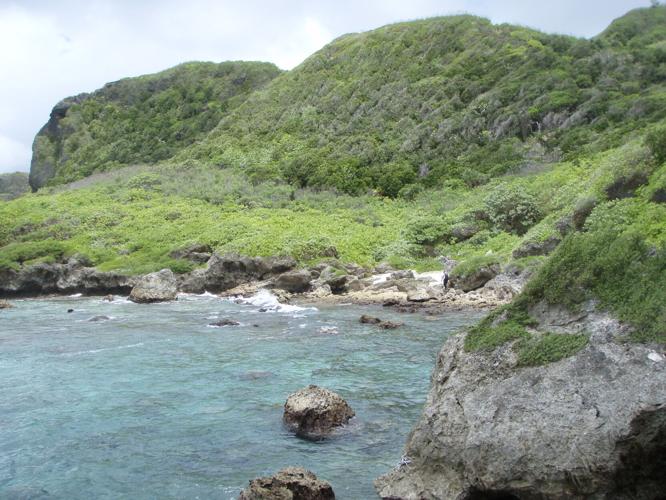 OPINION Lotz: Destruction of another Guam native limestone forest ...
